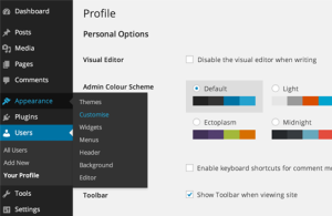 How to Use the British English Translation of WordPress – WP Tavern