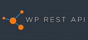 Explore the WordPress REST API with the New Interactive Console Plugin ...