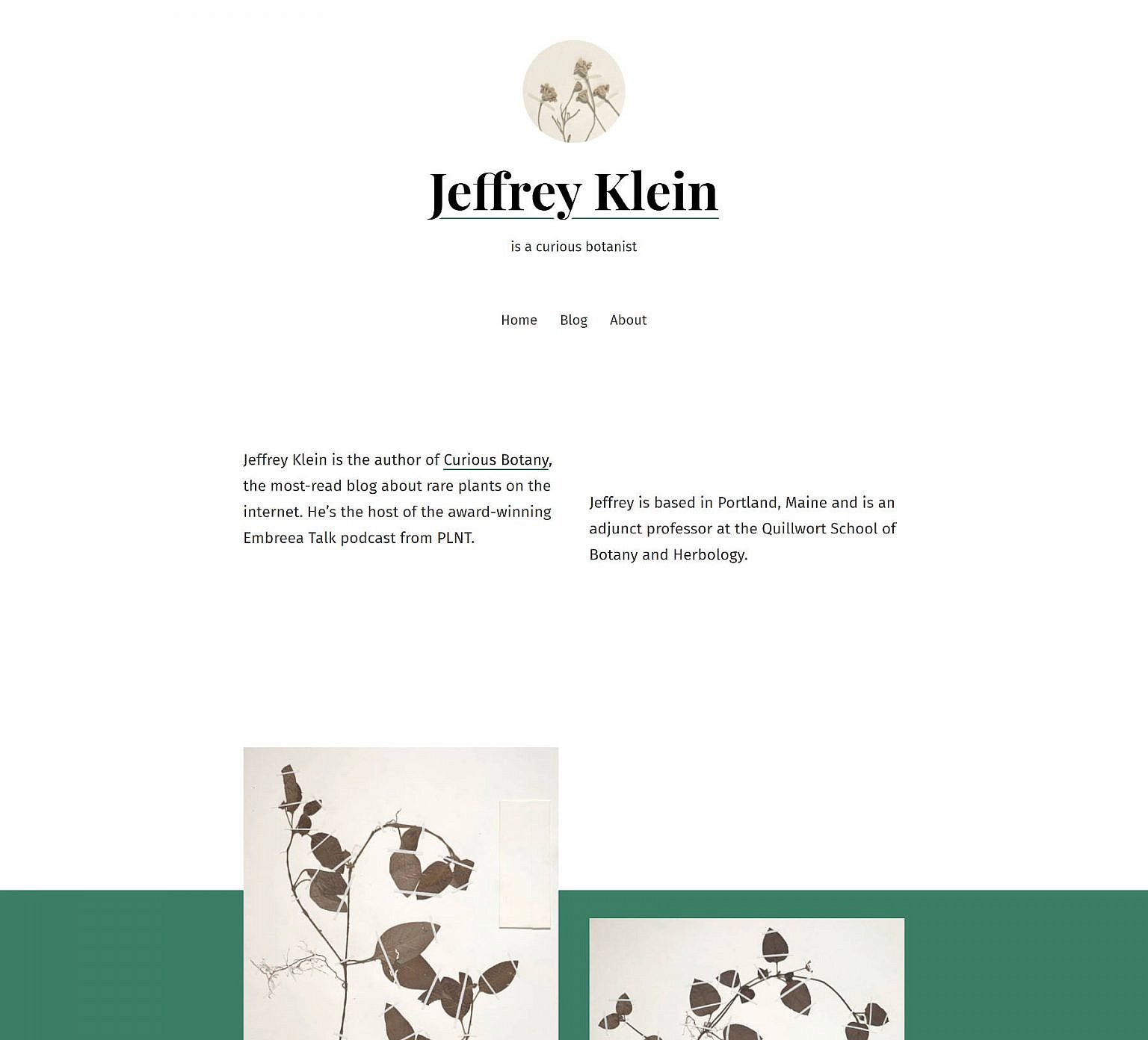 Exploring Seedlet, Automattic’s Block-First WordPress Theme – WP Tavern