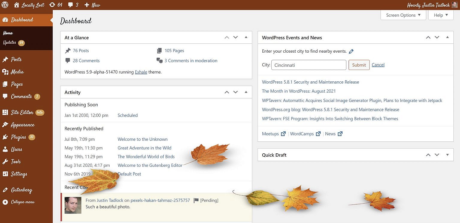 Add a Little Pumpkin Spice to Your WordPress Admin This Autumn – WP Tavern